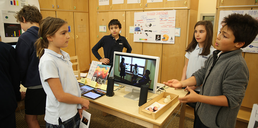 Why 21st Century Learning Must Go Beyond STEAM