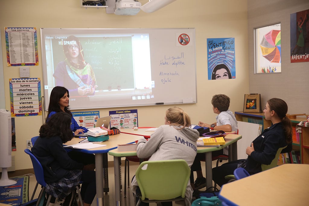 How learning a new language helps brain development