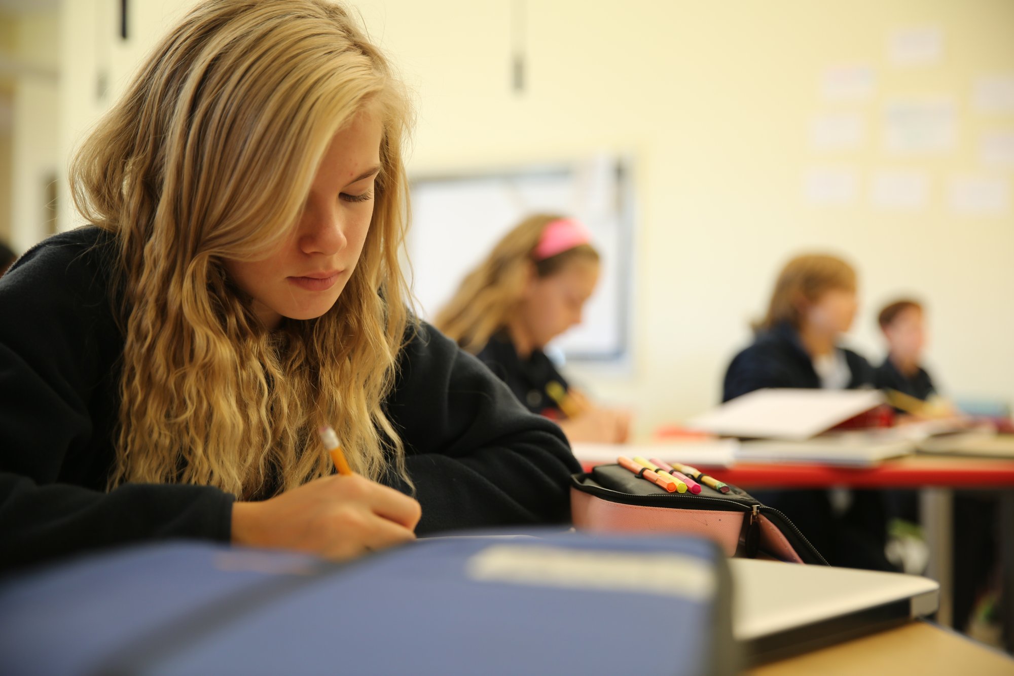 The Pros and Cons of Standardized Testing