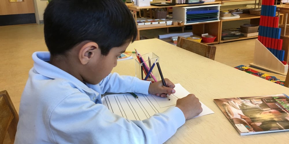 6 Little Known Benefits of Language Learning
