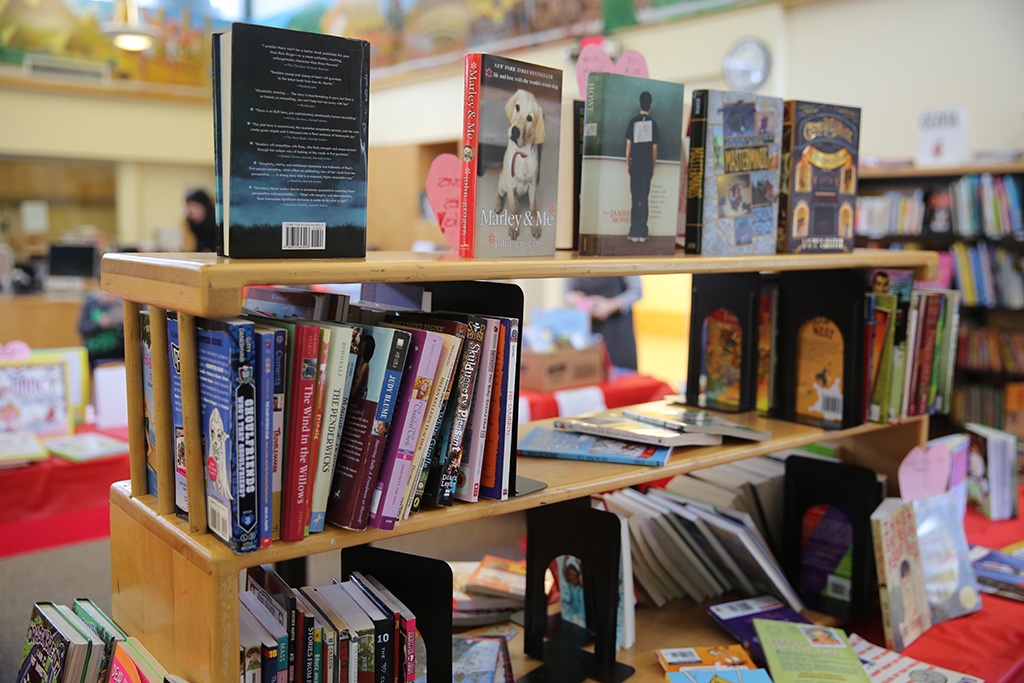 Matters of the Heart: the Evolution of School Libraries